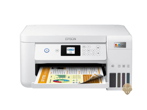Epson LaserJet Printers - Rental Mice