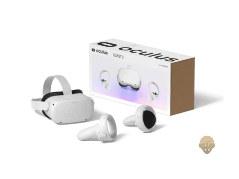 Oculus Quest 2 - Rental Mice